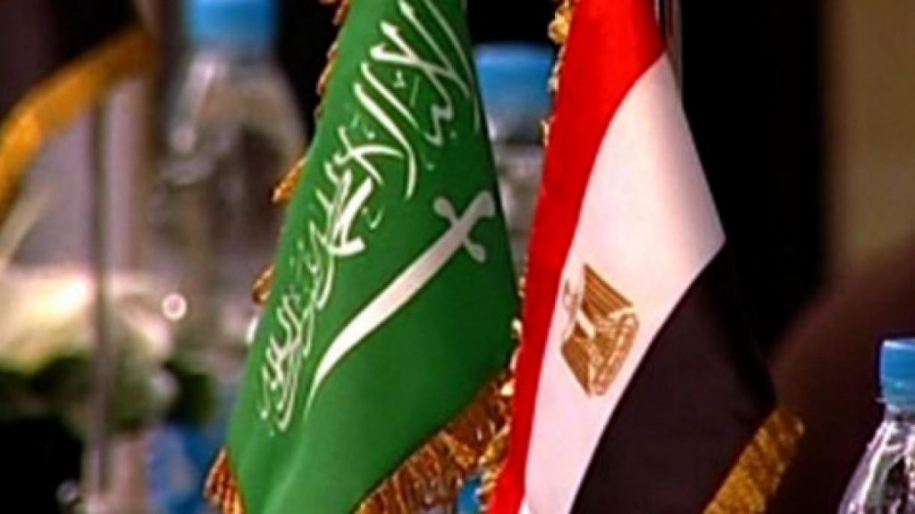 Saudi Arabia, Egypt boost trade exchange to $9.1 billion last year