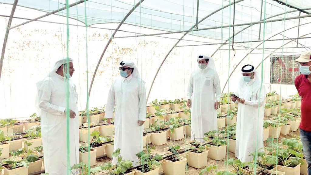 UAE, Egypt and Jordan to enhance food security | BNReport